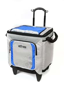 Amazon.com : Arctic Zone Ice-cold Performance Collapsible Cooler with ...