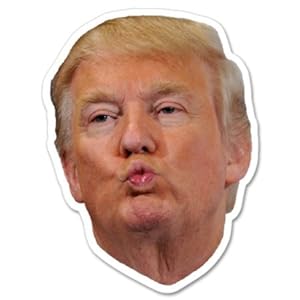 Amazon.com: Donald Trump Face Vinyl Sticker - SELECT SIZE: Home & Kitchen
