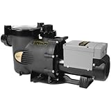 Amazon.com : Jandy JEP-R ePump Digital Variable Speed Pool/Spa Pump ...