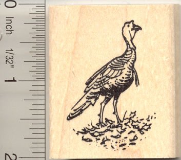 Turkey Rubber Stamps | Kritters in the Mailbox | Turkey Rubber Stamp