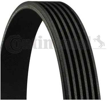 Contitech 6pk794 Elast Belt Grooved: Amazon.co.uk: Car & Motorbike