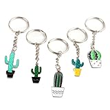 Mini Cactus Terrarium Keychains