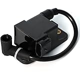Amazon.com: NEWHOW Outboard Ignition Coil CDM Module for Mercury ...