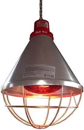 Titan Incubators Poultry Heat Lamp and 175W Bulb Hi/Low Switch Puppy ...