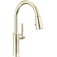 Delta 9184-DST Renaldi 1.8 GPM Single Hole Pull Down Kitchen Faucet ...