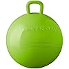 Amazon.com: 36" Knobby Bouncy Ball with Handle (Colors may vary): Toys ...