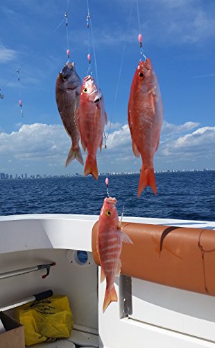 Deep Drop Rig with 10/0 High Carbon Steel Circle Hooks for Queen ...