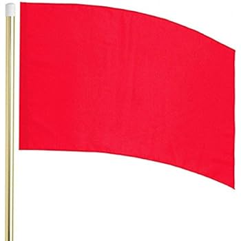Amazon.com : Director's Showcase 6' Gold Flag Pole and Color Guard Flag ...