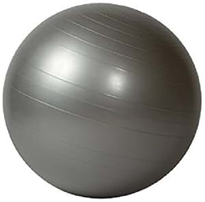 Amazon.com: Resist-A-Ball Commercial Grade Stability Ball- Pro Series ...