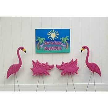 Amazon.com : Flamingo Extravaganza - This is a bouquet of Pink Flamingo ...