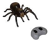 Giant Remote Control Spider - TheGreenHead.com