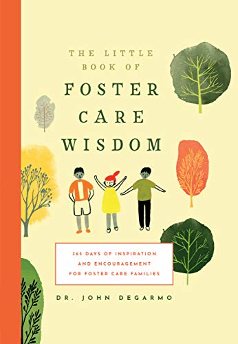 The Little Book of Foster Care Wisdom: 365 Days of Inspiration and ...