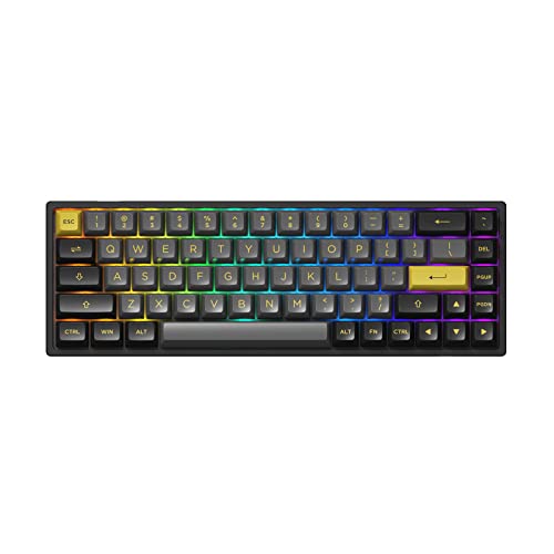 Akko Black & Gold 3068B Hot-swappable Mechanical Gaming Keyboard, 2.4G ...