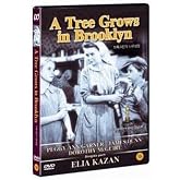 A Tree Grows in Brooklyn: Smith, Betty: 9780060929886: Amazon.com: Books
