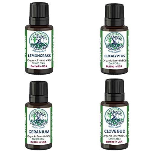Amazon.com: Olfactory Smell Training Kit Aromatherapy Set | Pure ...