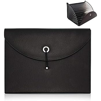 Amazon.com : Accordion File Folder Expandable Portable Document Wallet ...