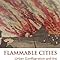 Amazon.com: Flammable Cities: Urban Conflagration and the Making of the ...