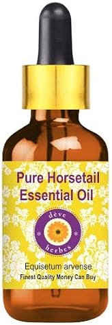 سعر Deve Herbes Pure Horsetail Oil (Equisetum arvense) with Glass ...