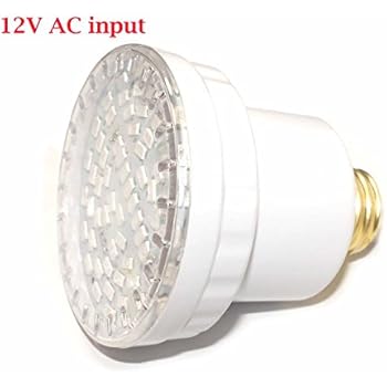 Amazon.com : 72 LED 12 Volt Miniature Color Changing Replacement ...