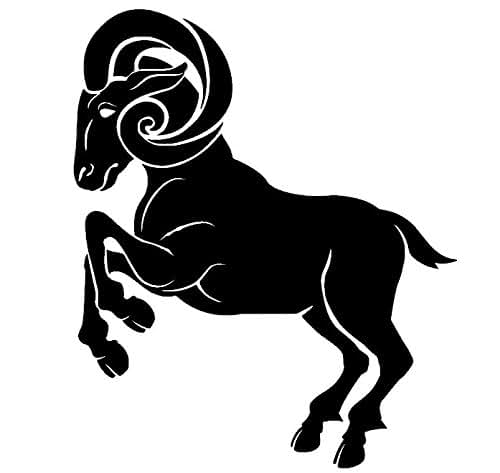 Amazon.com: Aries Vinyl Decal, Zodiac Vinyl Decal, Custom Aries Sticker ...