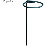 Metal Plant Supports Loop Stakes 5 pack 80cm, 100cm or 130cm tall (80cm ...