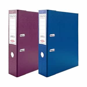 Anupam Attractive Lever File N1-31 x 35 x 8 cm - U shaped Clip Binder ...