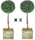 Pair Of Artificial Topiary Swirl Trees/Bushes 80cm High (suitable for ...