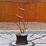 York Copper Cascade Water Feature: Amazon.co.uk: Garden & Outdoors