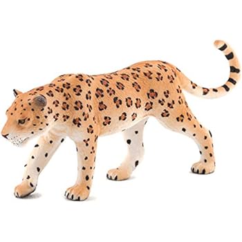 Amazon.com: Safari Ltd Wild Safari Wildlife Leopard: Toys & Games