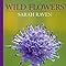 Sarah Raven's Wild Flowers: Raven, Sarah, Buckley, Jonathan ...