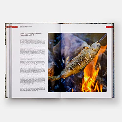 The Origins Of Cooking: Palaeolithic And Neolithic Cooking on Galleon ...