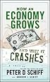 How an Economy Grows and Why It Crashes: Amazon.de: Peter D. Schiff ...