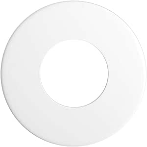 Decorative Ceiling Trim Plate For Fixture & Security Device Mounting-1 ...