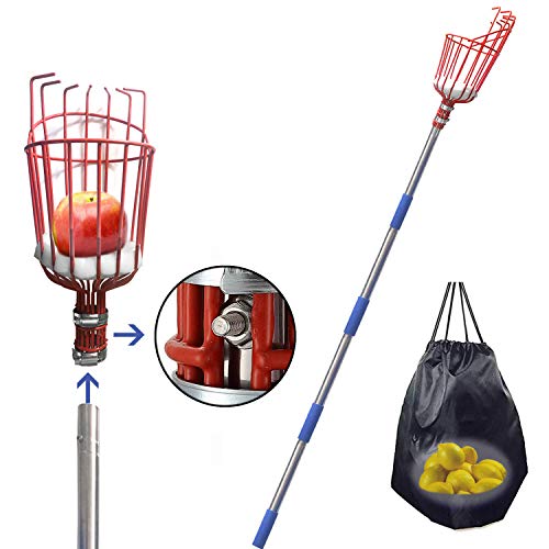 FLY HAWK Fruit Picker Tool, a 8-Foot-Long Fruit Picker Equipped with ...