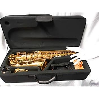 Amazon.com: Jean Paul Alto Saxophone Bundle with Carrying Case - AS ...