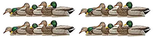 Best Duck Decoy Spreads – 2021 Guide