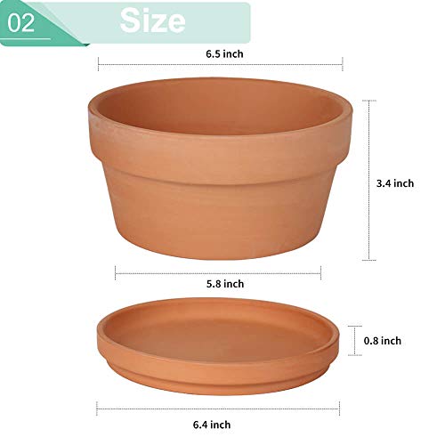 vensovo 6.5 Inch Terracotta Shallow Succulent Pot - 2 Pack Terra Cotta ...