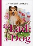 Lad: A Dog: Albert Payson Terhune: 9781434440495: Amazon.com: Books