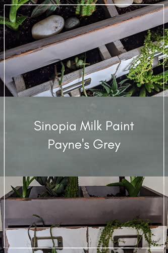 Sinopia All Natural Artisanal Milk Paint Payne's Grey for General Home ...