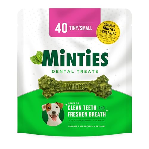 The Best Dog Teeth Cleaning Treats In 2024 - Dogtime