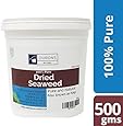 Ourons Seaweed For Dogs 500g Tub of Dried Kelp: Amazon.co.uk: Pet Supplies