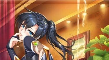 Amazon.co.jp： C97 LiLiTH 対魔忍RPG ふうま時子B2タペストリー（）: ホビー