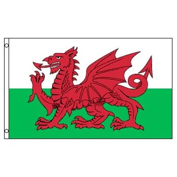 Amazon.com : Wales Flag 3 x 5 Brand NEW 3x5 Welsh Dragon Flag : Outdoor ...