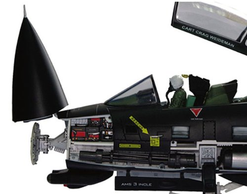 Buy F-14D Tomcat Fighter Jet VX-9 Vampires (Plastic model) Online at ...