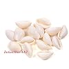 IndianStore4All WHITE COWRIE SHELLS Pooja Puja Kawdi Mahalaxmi Vishnu ...