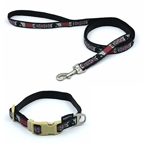 Collars, Leashes, Harnesses | What Cats Need