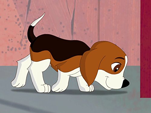 Watch Dora and Friends: Into the City! Volume 1 | Prime Video