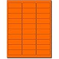 Amazon.com : Fluorescent Address Labels - 1" x 2-5/8" - 30 Per Sheet ...