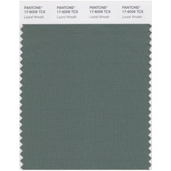 PANTONE Smart 17-6009X Color Swatch Card, Laurel Wreath - House Paint ...