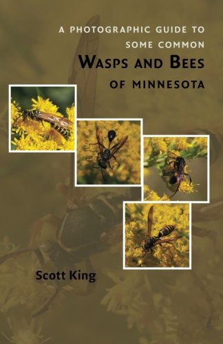 A Photographic Guide to Some Common Wasps and Bees of Minnesota pdf ...